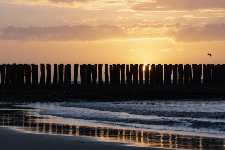 De mooiste stranden van Zeeuws-Vlaanderen | Ontdek Nederland!